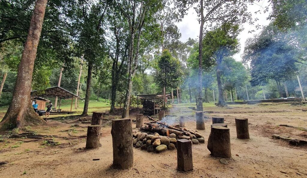 I Skoven | Xplore.my