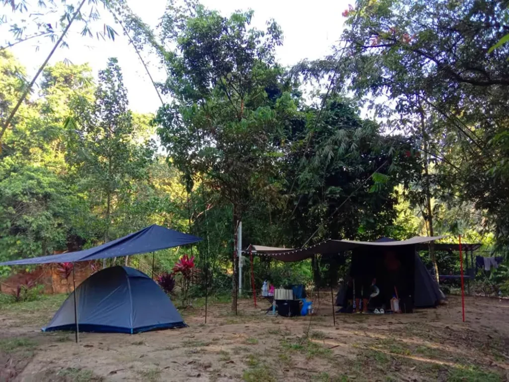 Pakuda D'tamu | Xplore.my